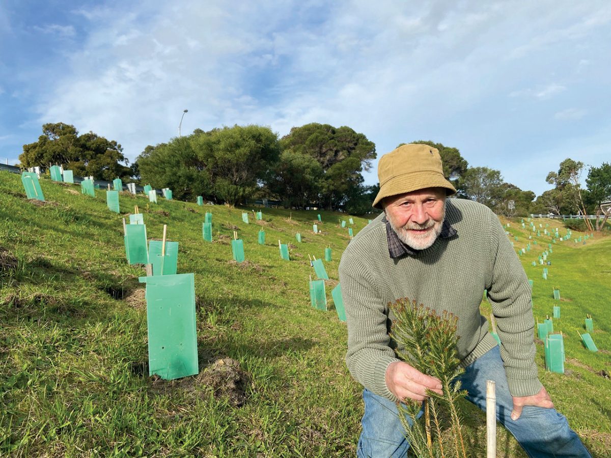 ‘Banksia Man’ gets his flowers - Bayside News